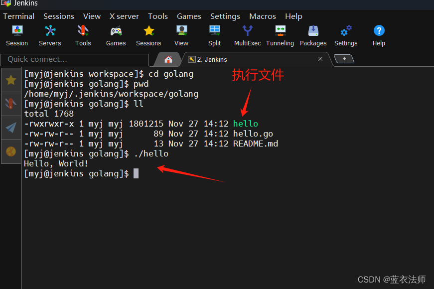 Jenkins部署golang_jenkins+golang-CSDN博客