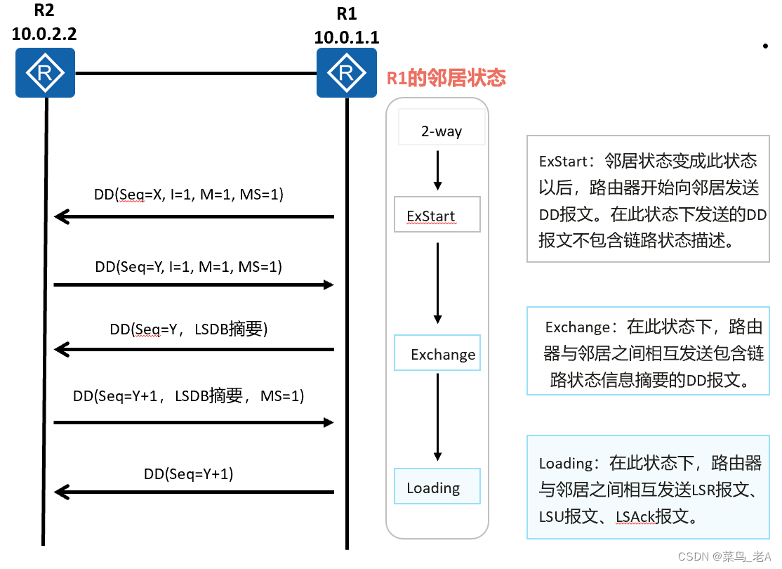 OSPF协议-DD报文-CSDN博客