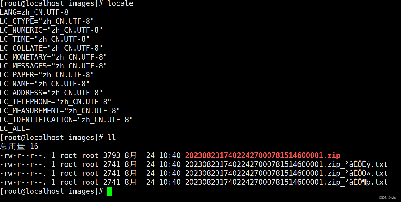解决kkfileview 410在linux环境中解压生成的预览临时中文文件乱码问题kkfileview乱码 Csdn博客