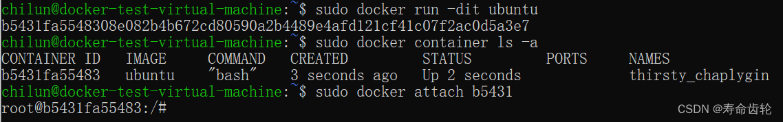 Docker管理、进入、导入导出容器操作(命令讲解代码举例)docker 进入 退出 导出 导入命令 Csdn博客