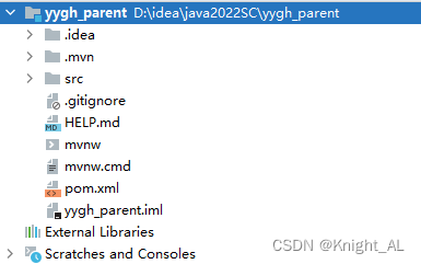 Idea新建Spring Initializr项目文件哪些可删_idea项目.idea和.mvn能删除吗-CSDN博客