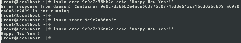ISula 容器学习历程-CSDN博客
