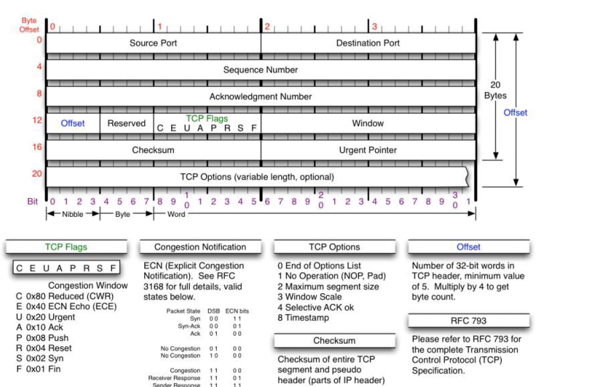 动手学习TCP上_tcp offset-CSDN博客