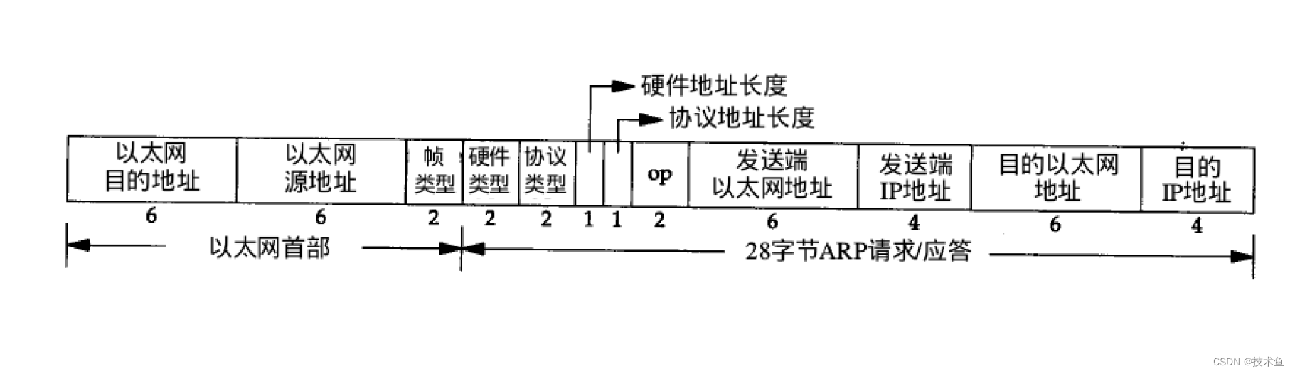 网络攻击 Arp攻击 Csdn博客 