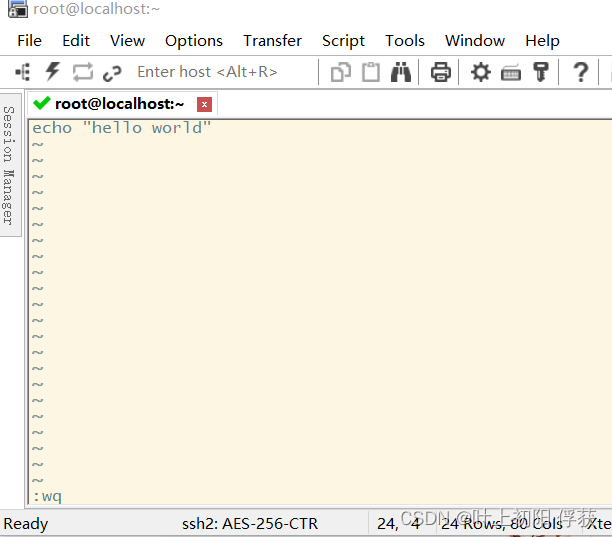 Linux中的环境变量和vim的使用_linux export path-CSDN博客