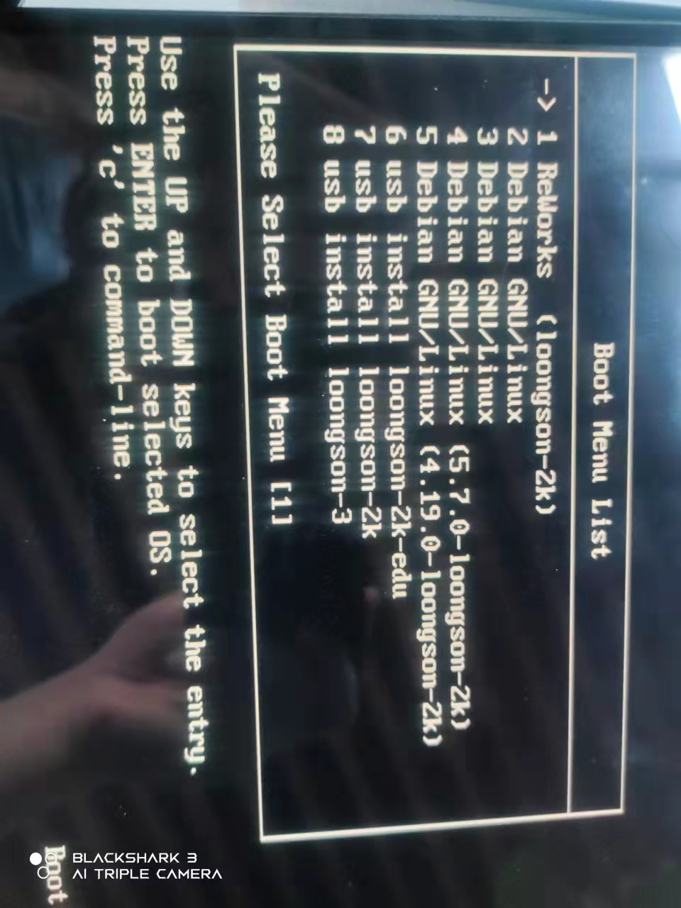 LOOGSON派二代reworks系统固化，reworks &Debian双系统-CSDN博客