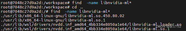 Docker: Please also try adding directory that contains libnvidia-ml.so to your system PATH.-CSDN博客