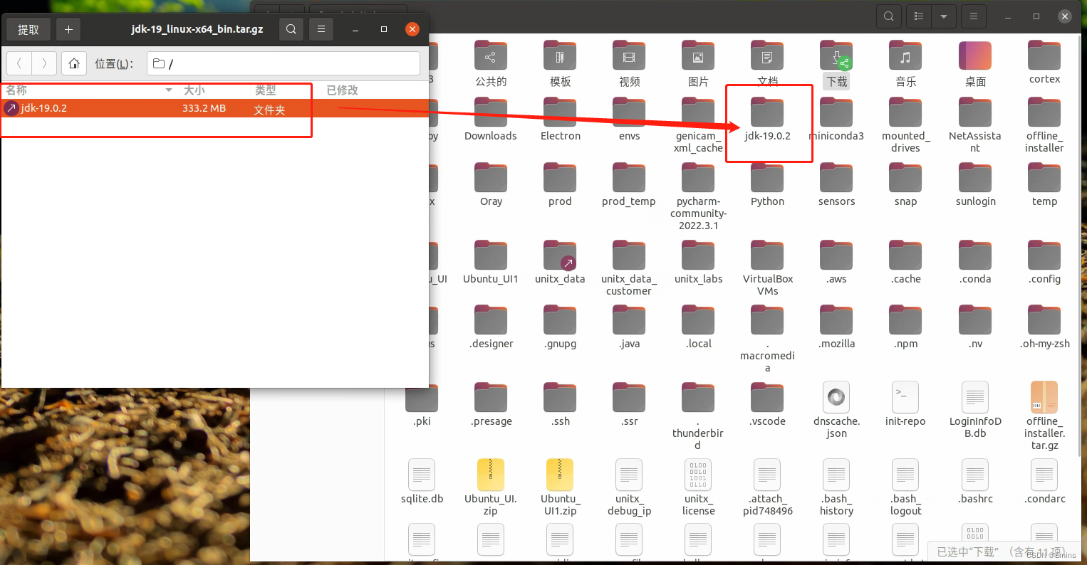 Linux（Ubuntu）安装JDK并打开jar文件_ubuntu里怎么放置jdk包-CSDN博客