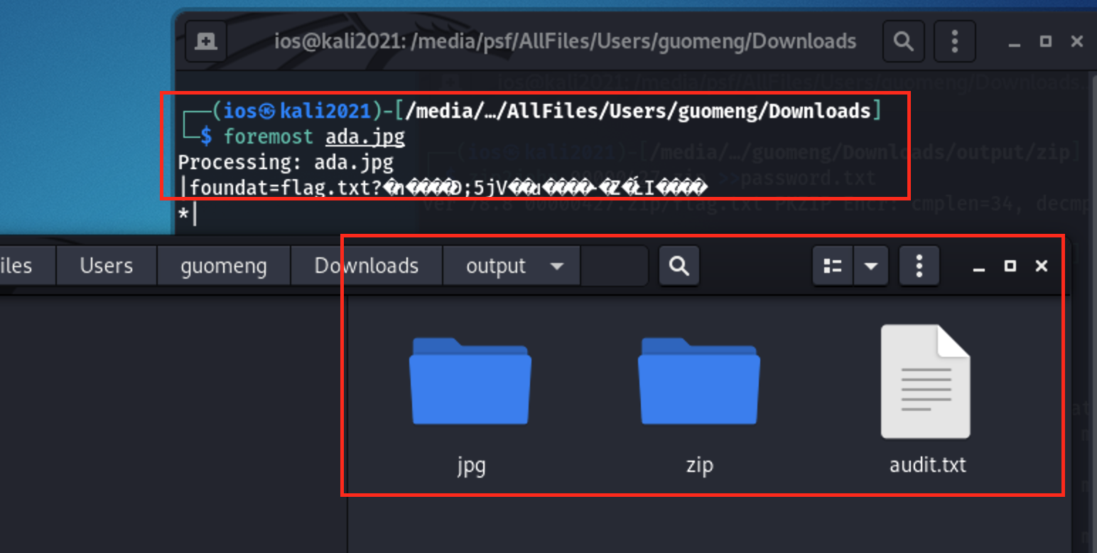 【CTF/MISC】图片隐写题（binwalk/foremost/010editer配合使用）_ctf从图片得到解压密码-CSDN博客