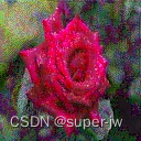 对抗样本生成方法综述（FGSM、BIM\I-FGSM、PGD、JSMA、C&W、DeepFool）-CSDN博客