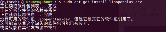 import torch报错ImportError: libopenblas.so.0: cannot open shared object file: No such file or ...