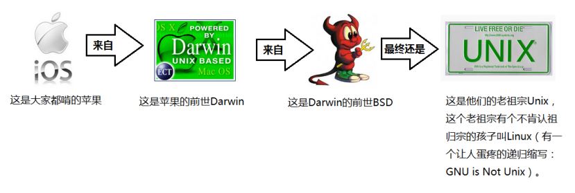 Linux常用命令实验报告_linux命令报告-CSDN博客
