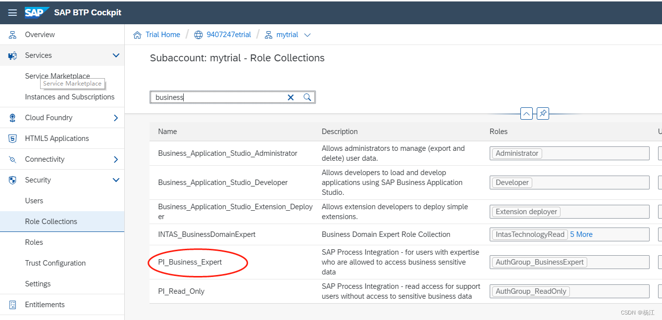 SAP云集成 SAP Integration Suite启用过程，踩坑记-CSDN博客