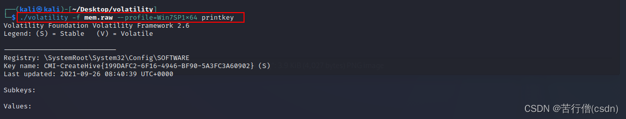 内存取证 && volatility工具（持续更新）_内存镜像.raw-CSDN博客