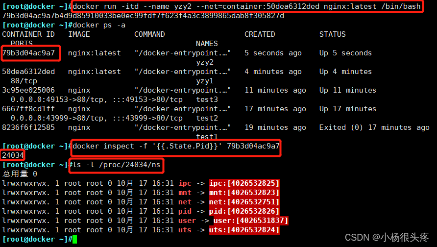 Docker网络与资源控制 Docker 虚拟网卡 Csdn博客
