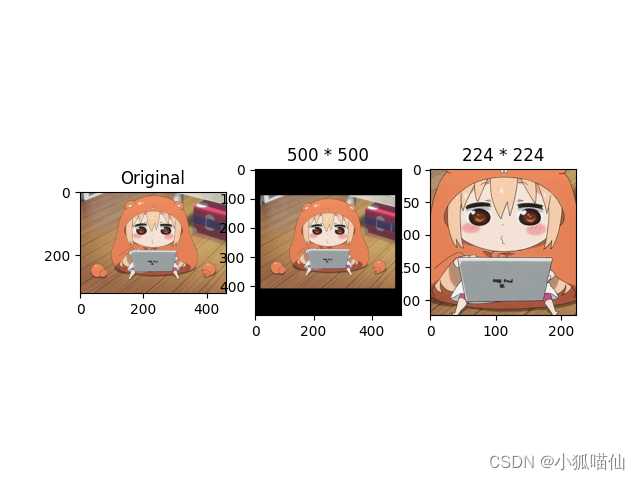 pytorch_learning(六）_torchvideo-CSDN博客