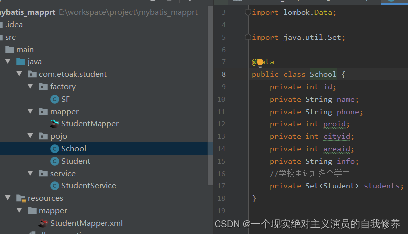 Mybatis(StudentMapper,StudentMapper.xml,mybatis-config.xml)_根据id修改学生各科成绩的mapper怎么写-CSDN博客