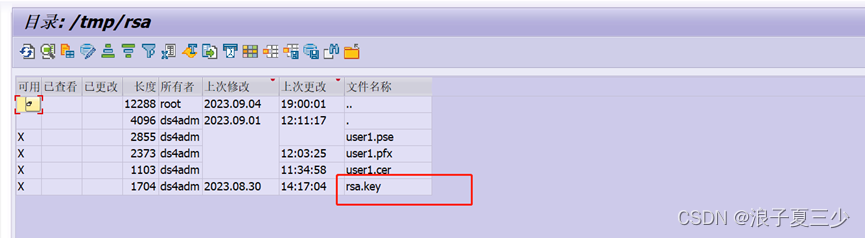 ABAP 实现RSA签名_abap + rsa-CSDN博客