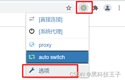 安装 SwitchyOmega 和 3proxy 设置 Http/Socks代理-CSDN博客