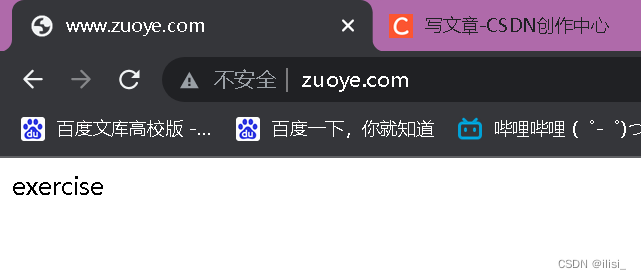 Linux使用域名访问web网站linux Web怎么访问站点 Csdn博客