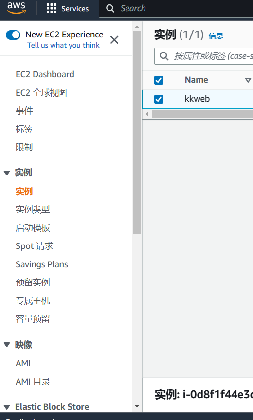 【免费外国云服务器】亚马逊AWS创建EC2实例搭建个人服务器_亚马逊免费实例-CSDN博客