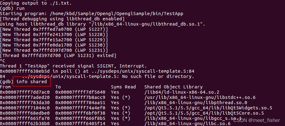 Linux下可执行程序依赖库打包_linux 库打包-CSDN博客