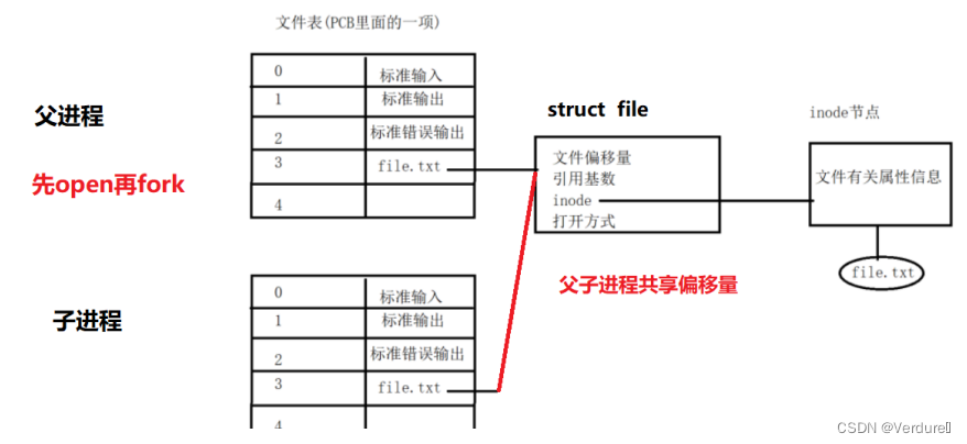 Linux进程打开文件（先open再fork、先fork再open）_进程访问文件-CSDN博客