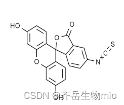 科研绿色荧光素标记支链淀粉；FITC-Amylopectin；CY3、CY5、CY5.5、CY7标记支链淀粉/淀粉醣/木葡聚糖_淀粉基染料-CSDN博客