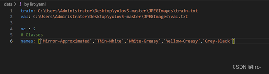 YOLOv5-master舌象分类-CSDN博客