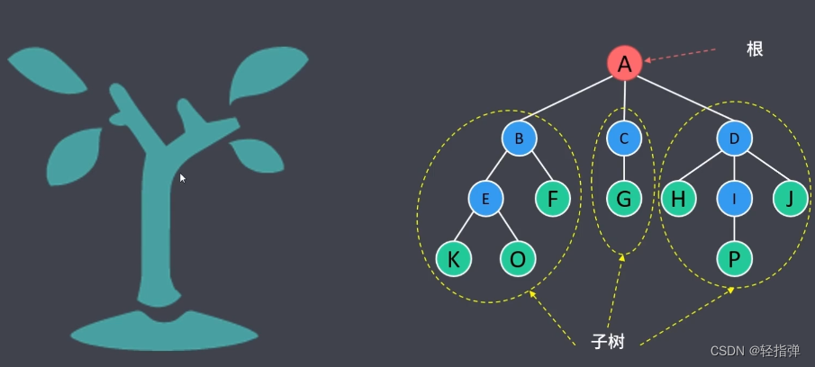 Linux 学习记录19(数据结构篇)_linux 数据结构-CSDN博客