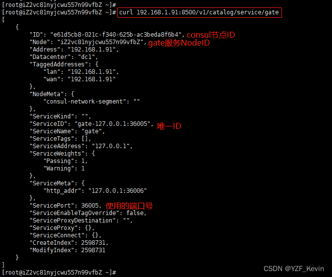 consul命令总结_consul查看已注册服务-CSDN博客