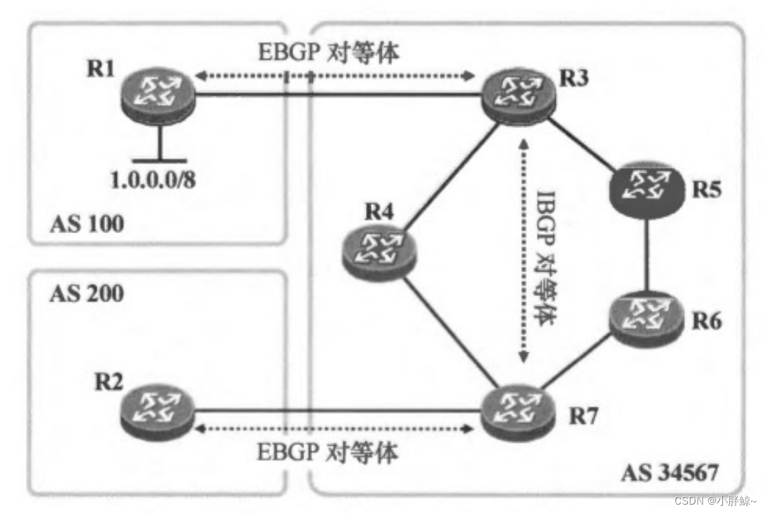 HCIP8 BGP的基础；工作过程；_open报文 rid-CSDN博客