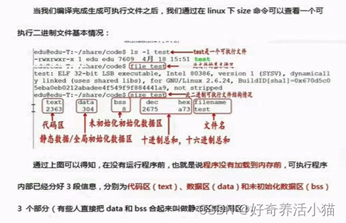 C提高01-数据类型，typedef,void,sizeof用法，变量赋值，内存分区，栈区，堆区，全局静态区，extern和static区别，const全局和局部变量区别，字符串常量区 ...