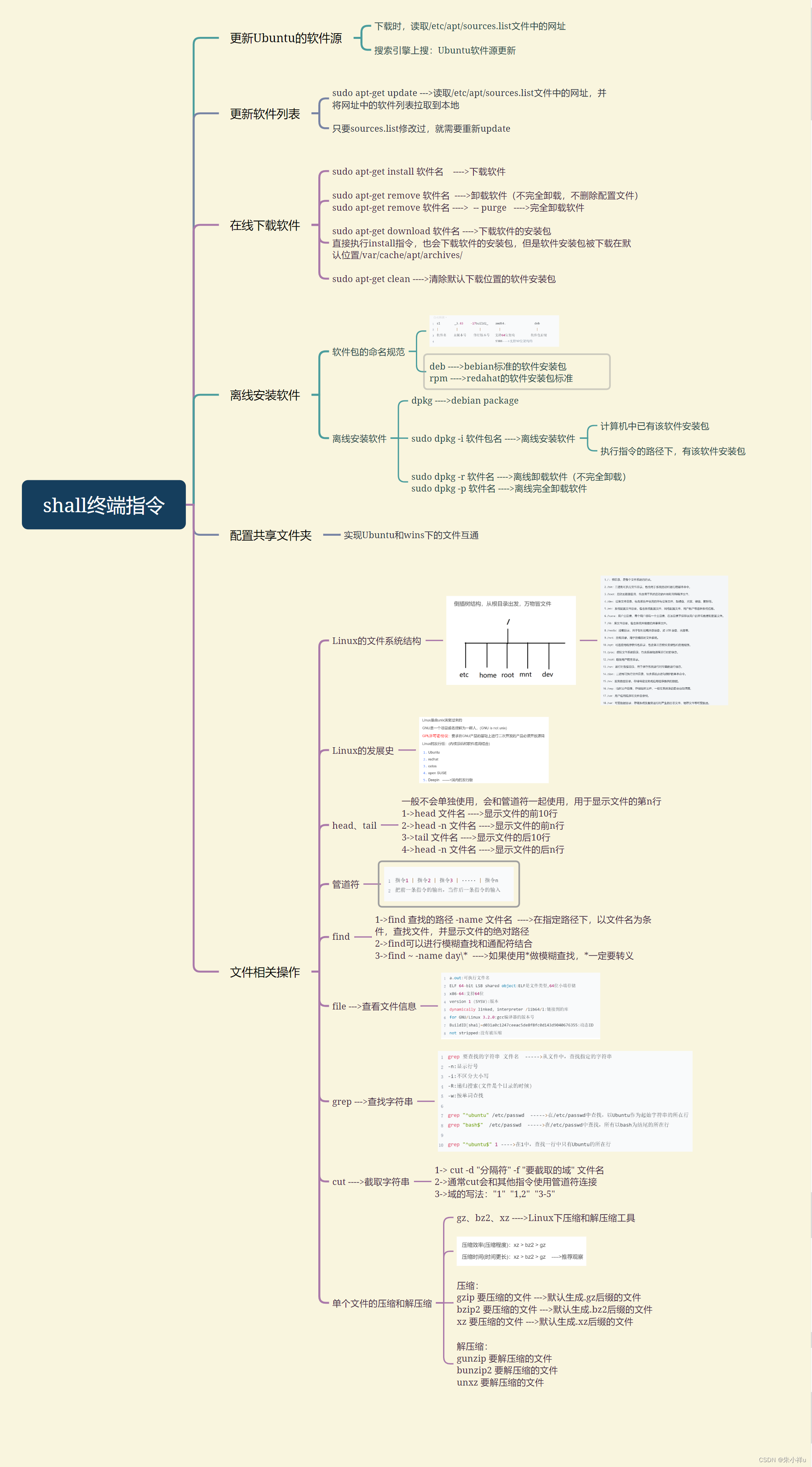 C高级 Day1 Csdn博客 