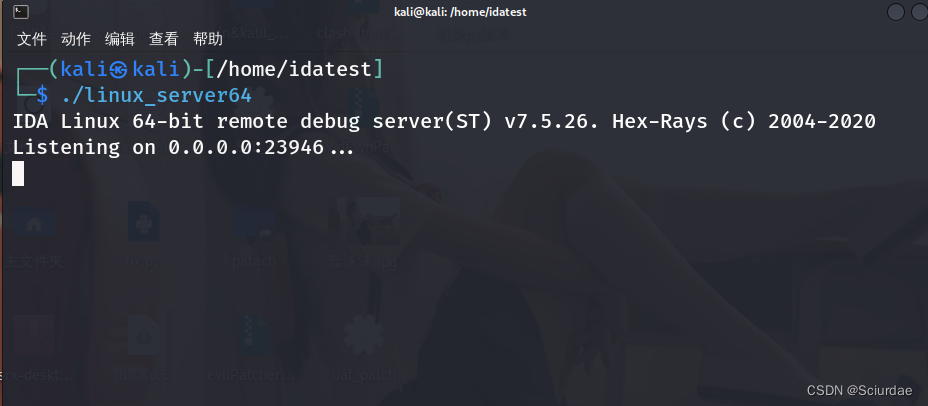 2023年SWPU NSS 秋季招新赛 CTF Reverse‘方向WP详解_[swpuctf 2023 秋季新生赛]junk code-CSDN博客