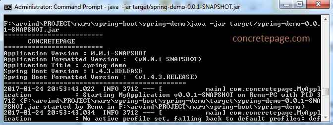 【Spring Boot】自定义 Banner 示例 | 自定义启动项目输出信息_banner接口开发案例-CSDN博客
