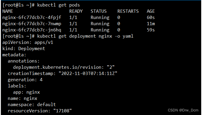 Kubectl_k8s查看pod端口-CSDN博客