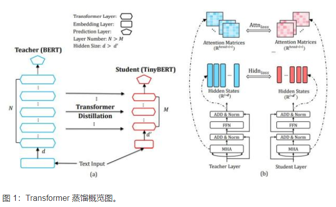 distill_bert和tiny_bert_distillbert-CSDN博客