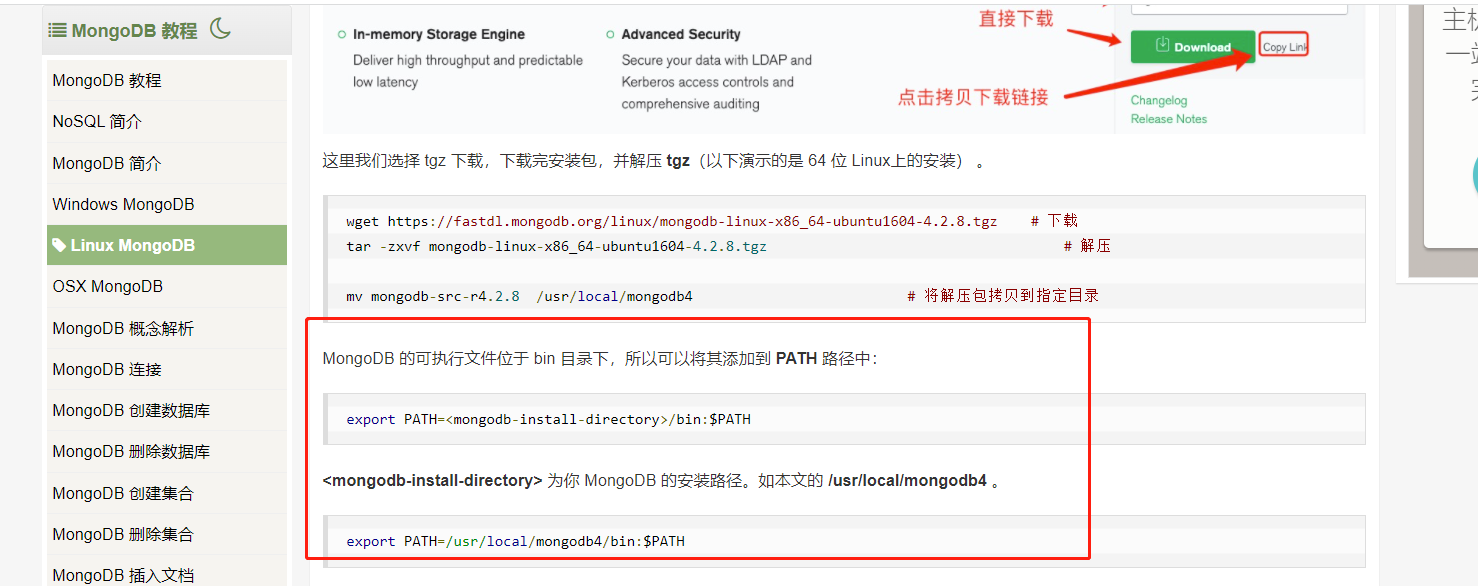 启动服务提示-bash: mongod: command not found-CSDN博客