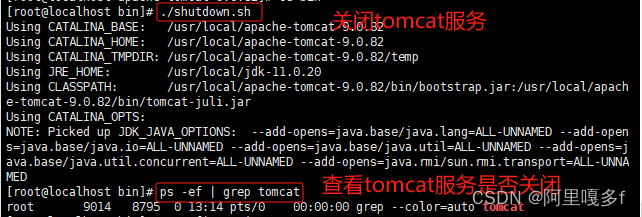 Linux下安装jdk，jmeter，ant，tomcat，jenkins（超详细超全）_linux 安装ant-CSDN博客