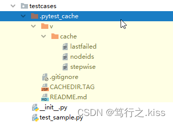 pytest合集（2）— 测试用例_pytest测试用例-CSDN博客