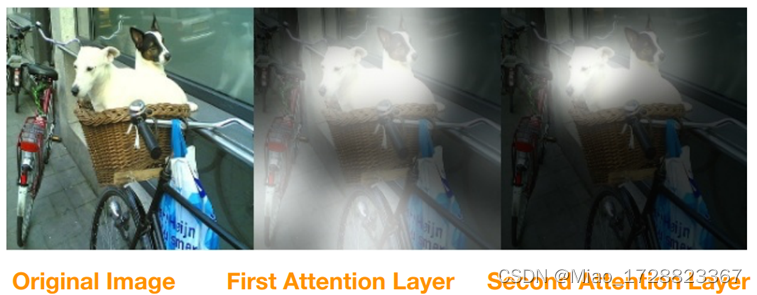 《Stacked Attention Networks for Image Question Answering》论文解读与实验_vqa论文复现-CSDN博客