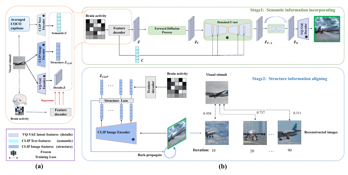 Controlled Image Reconstruction from Human Brain Activity with Semantic and Structural Diffusion ...