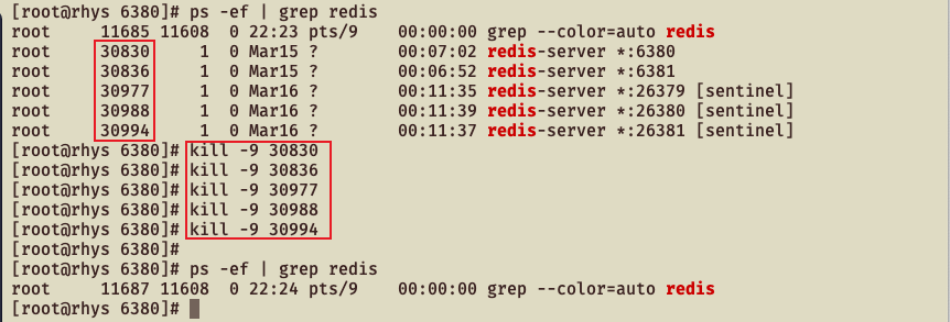 【Redis代理】- Twemproxy，不来了解一哈?-CSDN博客