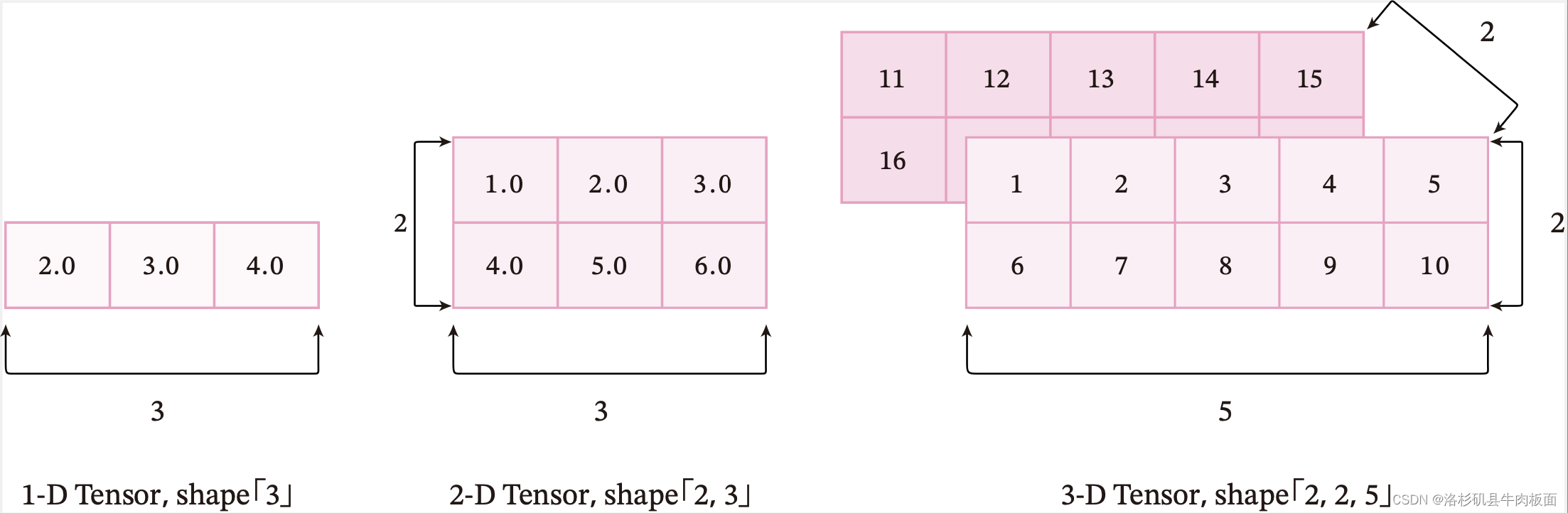 深度学习 张量tensor Pytorch实现 Hbu作业张量可视化 Csdn博客