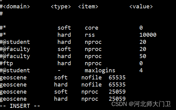 GeoScene Enterprise2.1Linux版安装教程_su切换到geoscene-CSDN博客
