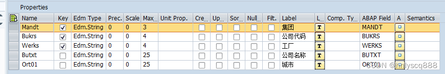 SAP RFC发布ODATA_sap rfc 发布odata-CSDN博客