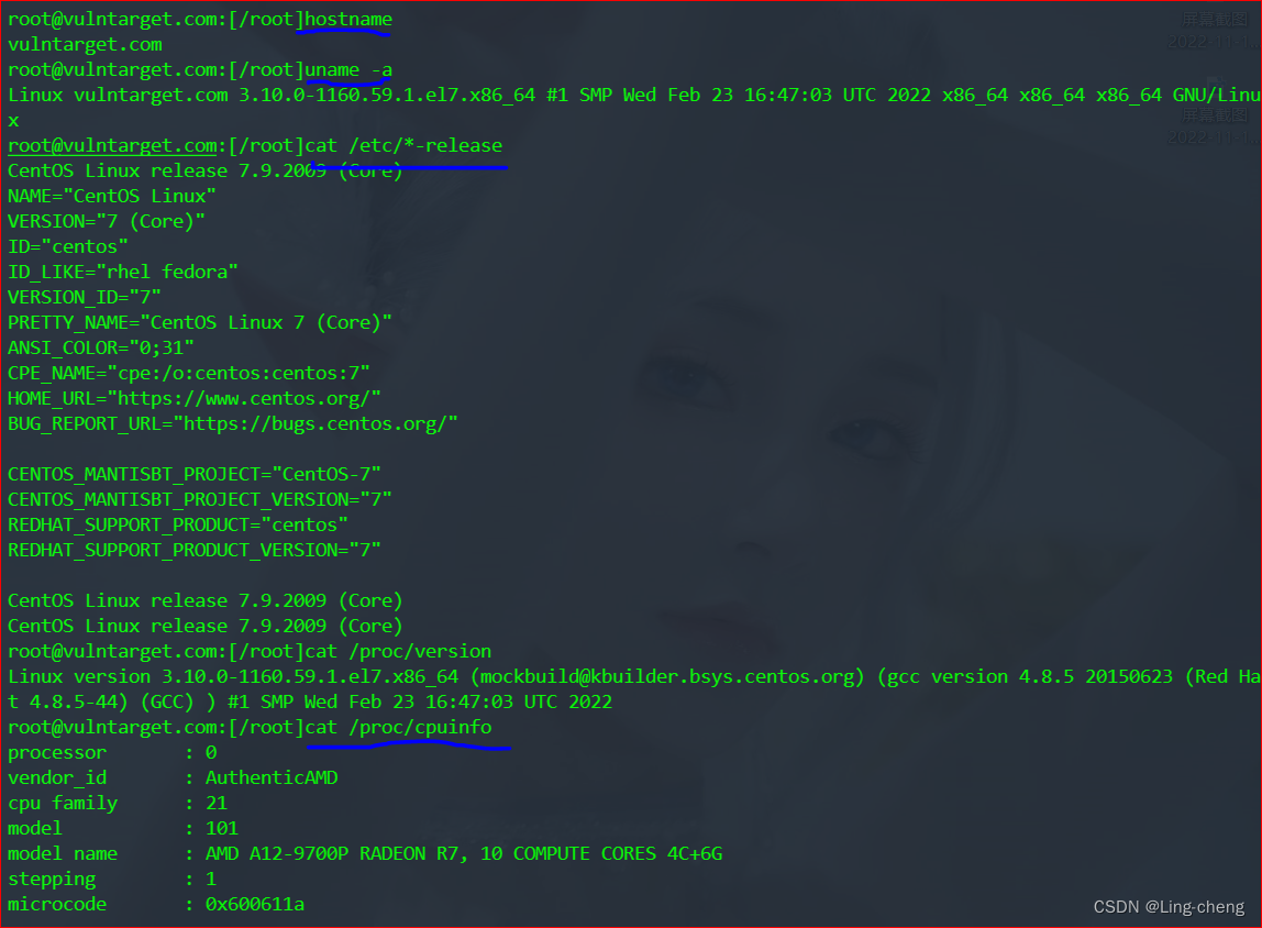 Linux系统信息收集_linux信息搜集-CSDN博客